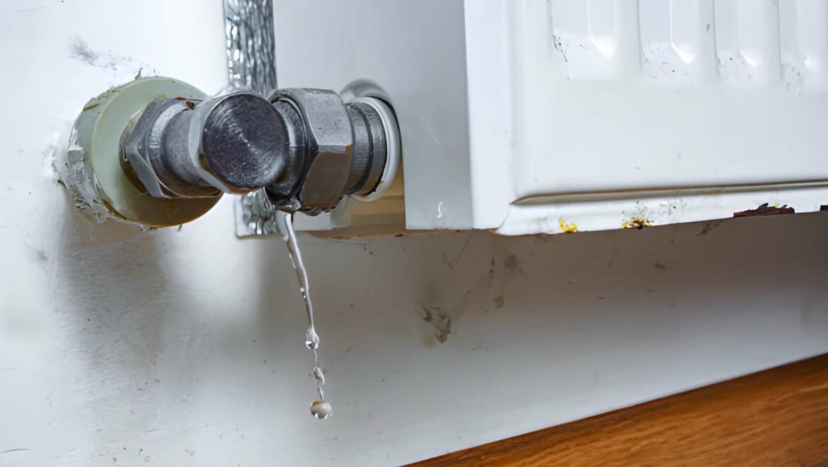How to Spot and Fix Damaged Pipes | SE Plumbing